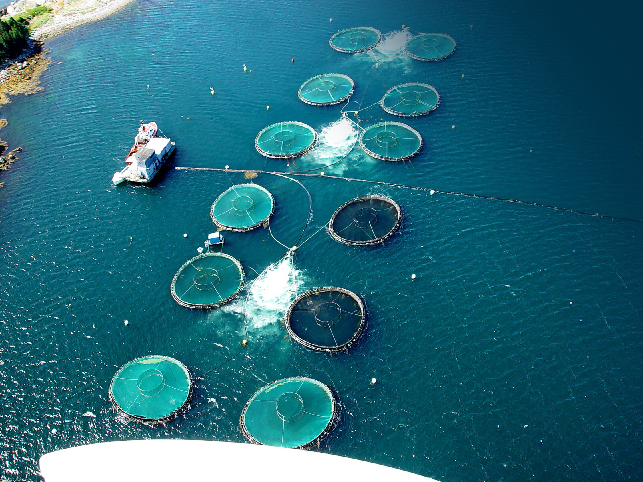 Aquaculture Water Treatment and Aeration Systems | Newterra