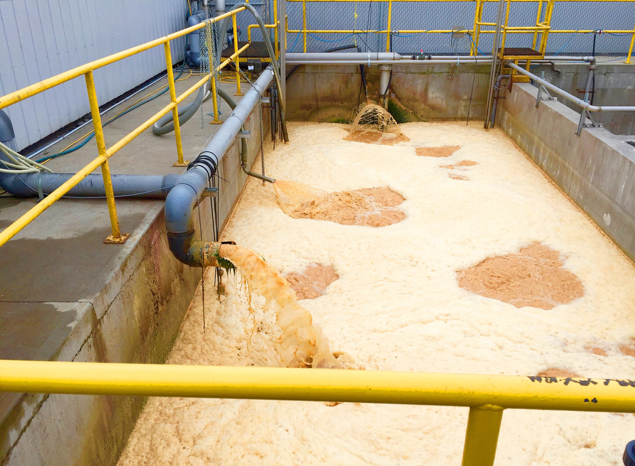 Ivanhoe Cheese | Newterra